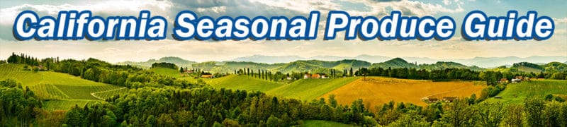 California Seasonal Produce Guide – ProPacific Fresh